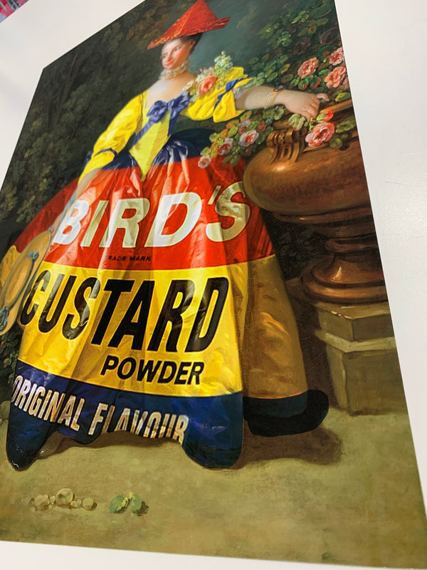 Birds Eye Custard - Electric Gallery